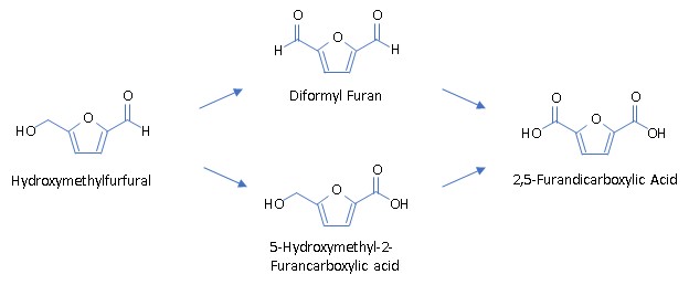 Bio-Based Alternative to Bisphenol-A, Diols and Epoxy Resins from 5 ...